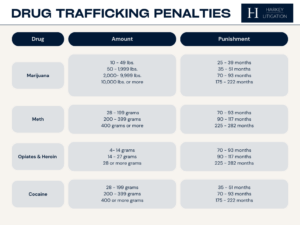 Navigating Drug Trafficking Laws in North Carolina: Understanding the ...
